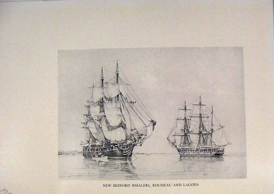 Antique Print American Ships Lithographs New Bedford Whale | ANTIQUES ...
