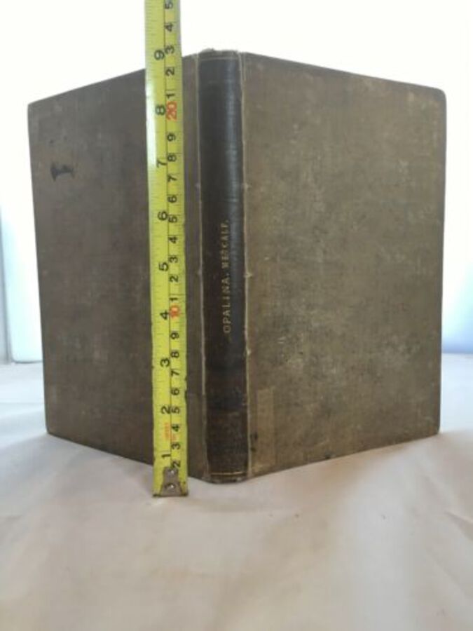 Antique Opalina Anatomy And Reproduction Description Of Infection By ...