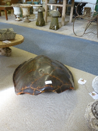 Antique Turtle Shell 1 | ANTIQUES.CO.UK